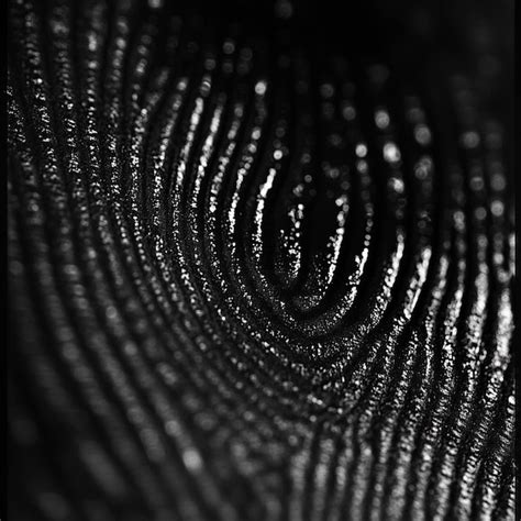 A Closeup Of Biometric Security Measures Like Fingerprint Or Facial