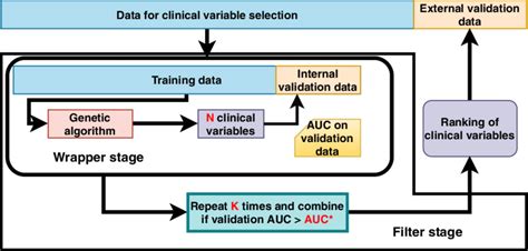 Ga Feature Selection Methodology The Result Is A Ranking Of Clinical Download Scientific