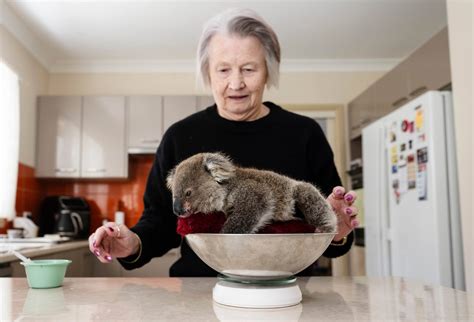 Sesame Street Classic Episodes Now Streaming On Youtube Access Your