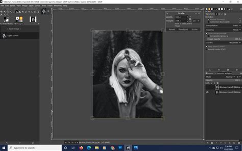 How To Resize A Layer In Gimp Quick And Easy