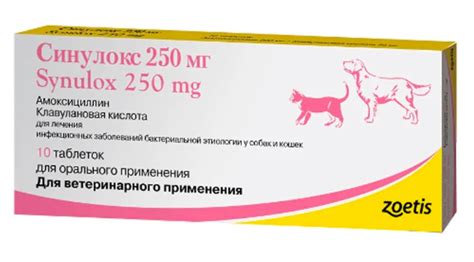 Synulox (Синулокс) 250 мг (10 таблеток) - Антибиотик для собак и кошек ...