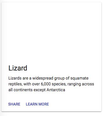 CardActions Have Different Layout From CardContent Issue Mui Material Ui GitHub