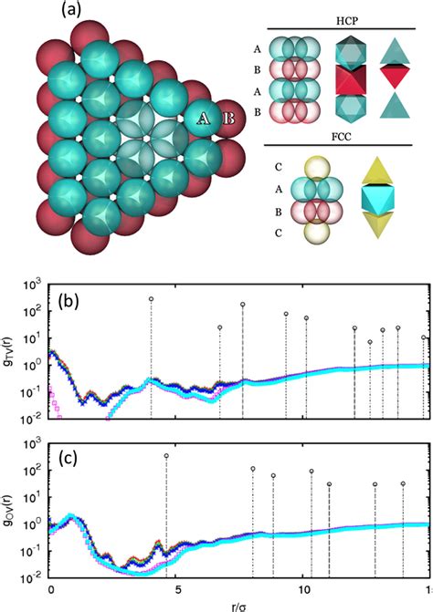 A Schematic Illustrations Of The A B Layer And The Hcp Contacts