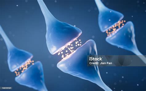 뉴런 세포의 시냅스 생물학 개념 3d 렌더링 뇌에 대한 스톡 사진 및 기타 이미지 뇌 수용체 디지털 생성 이미지 Istock