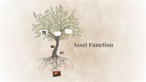 Asset Function By Brittany Turner On Prezi