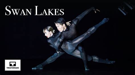 Swan Lake By Leocervas Paper Airplane Cursor By Leocervas On