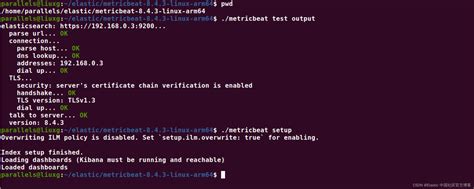 Observability：集群监控 （二） Elastic Stack 8xllection