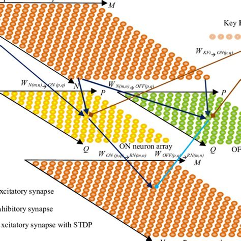 Spiking Neural Network For Feature Extraction And Image Reconstruction Download Scientific