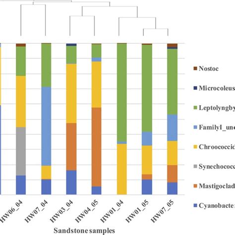 Comparison Of The Relative Abundance Of Cryptoendolithic Cyanobacterial Download Scientific