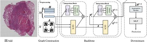 Integrative Graph Transformer Framework For Histopathology Whole Slide
