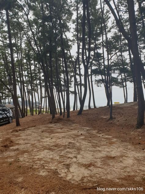 서해캠핑 바닷가 바로 앞 해루질 가능 캠핑장 웨스턴백사장오토캠핑장 네이버 블로그
