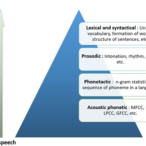 Hierarchical Representation Of Different Language Discriminating