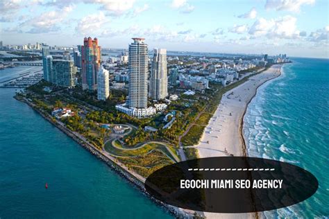 Egochi Miami Seo Agency The Way To Improve Rankings