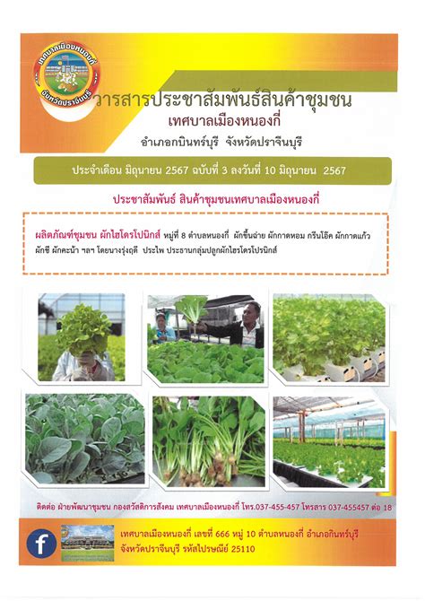 เทศบาลเมืองหนองกี่