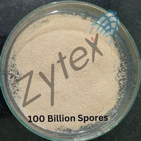 Microbial Culture Of Bacillus Subtilis Bacteria Manufacturer Supplier In Mumbai Maharashtra