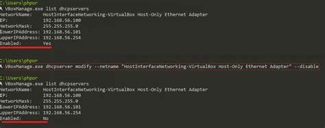 Virutalbox 中使用自建的dhcp服务器 Phpor 的blog