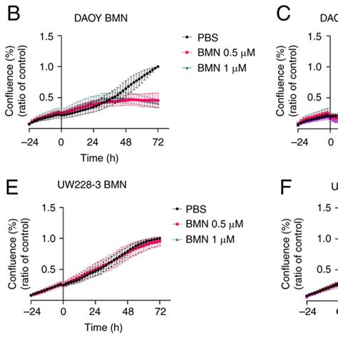 Sentinel Lymph Node Ultrastaging Protocol In The Sentix Trial Protocol