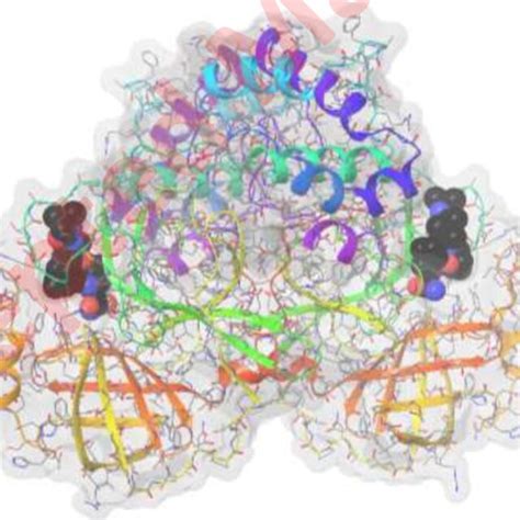 Figure S 1 Crystal Structure Of Sars Cov 2m Pro Complex Pdb Id