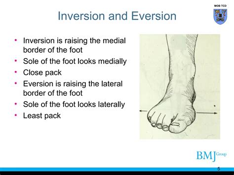 Anatomy Of Feet Ppt