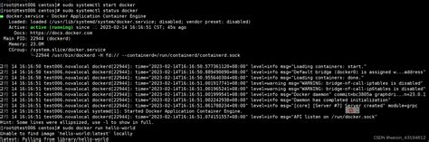 Docker安装（centos）菜鸟 Docker 安装centos Csdn博客
