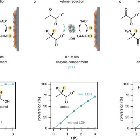 Performance Of Enzymatic Reactions In The Biopmr At Ph 65 7 And 9 A Download Scientific