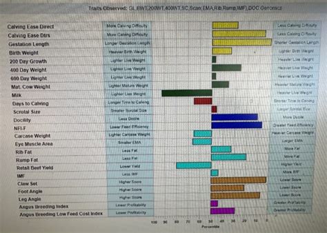 Ultrajet U356 Millah Murrah Angus