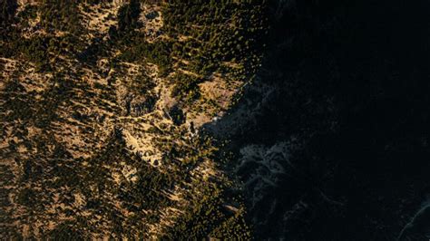 timescale becomes tigerdata reimagining postgresql for the era of real time intelligence