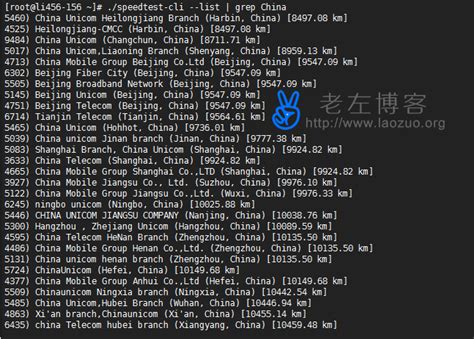 利用speedtest Cli工具检测vps服务器网络下载速率 老左笔记