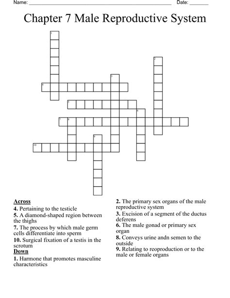 Mens Health Crosswords Word Searches Bingo Cards Wordmint