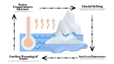 The Ice Albedo Effect Compassion Crossing