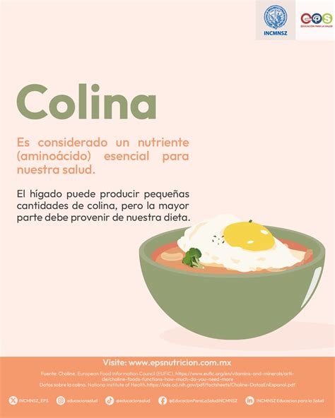 Colina Instituto Nacional De Ciencias Médicas Y Nutrición Salvador