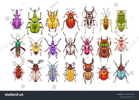 Colorful Beetle Bug Pictures Cicindela Sexguttata Wikipedia