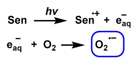 Superoxide Anion Chemistry—its Role At The Core Of The Innate Immunity