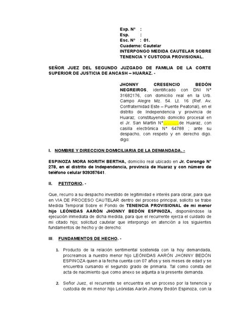 Medida Cautelar Final Pdf Mandato Lima