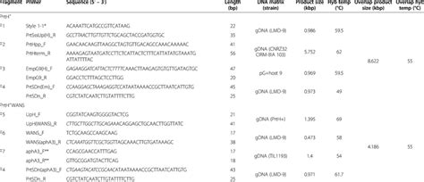Primers And Resulting Fragments Used In Overlap Extension Pcr For Download Table