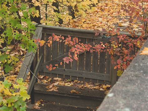 Осінь на носі чим підживити ґрунт після літнього сезону щоб зібрати багатий урожай наступного