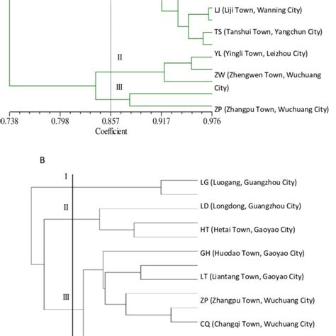 Upgma Dendrogram Of P Cablin Based On Rapd Markers A Download