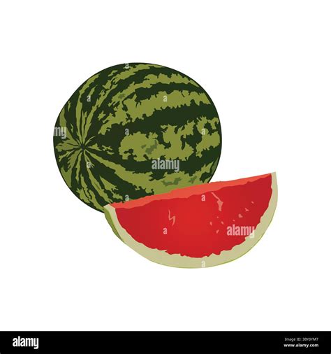 Watermelon Slice Stock Illustrations Vector Based Drawing On White Background Vol 01 Stock
