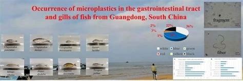 Victoria Li On Linkedin Occurrence Of Microplastics In The