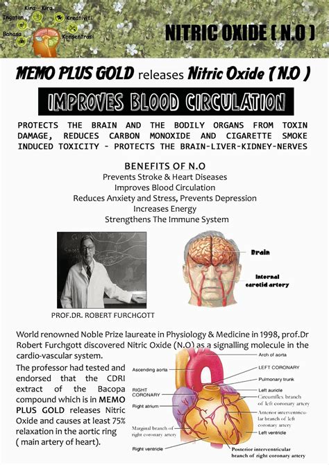 Memo Plus Gold Memo Plus Gold Effective