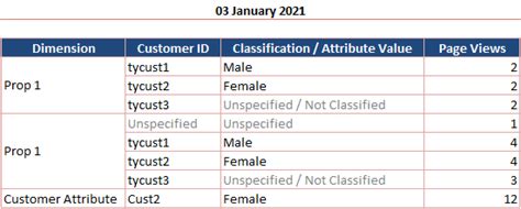 Adobe Analytics How Customer Attributes Work Terryn Winter