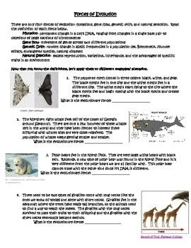 Forces Of Evolution By The Biotic Factor Tpt
