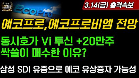 2차전지 에코프로 에코프로비엠💥충격공시 동시호가 Vi 걸리면서 투신이 20만주 싹쓸이해간 이유 삼성 Sdi 유상증자 에코그룹도 Youtube