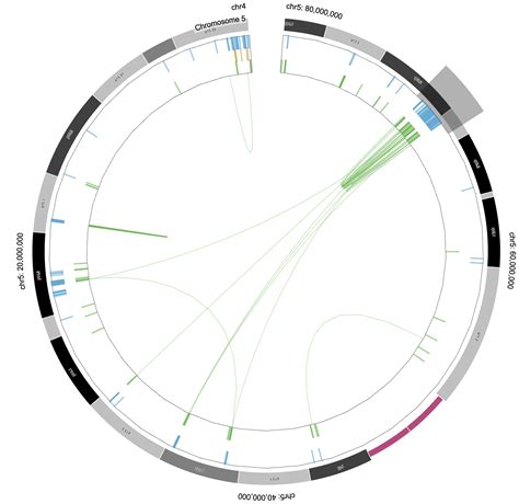 brush in circular layout with stacked tracks · issue 885 · gosling