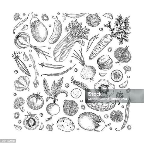 농민 시장 메뉴 디자인 서식 파일 빈티지 손으로 그린 스케치 벡터 일러스트입니다 선형 그래픽입니다 새겨진된 스타일입니다 종이 전단지 배너 메뉴 카페 레스토랑을 배치를 위해