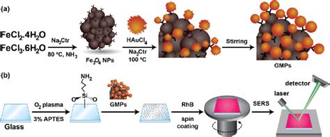 A A Schematic Of The Synthesis Of Fe3o4 Nps And Gmps B The Download Scientific Diagram