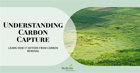 Decoding Carbon Understanding The Vital Difference Between Carbon Capture And Carbon Removal