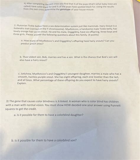 Solved H After Completing The Test Cross You Find That Chegg Com