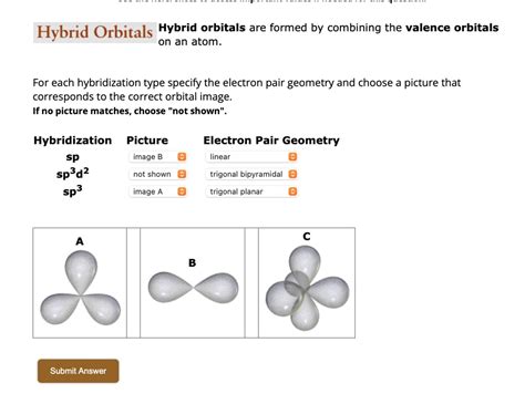 Solved On An Atom For Each Hybridization Type Specify The Electron
