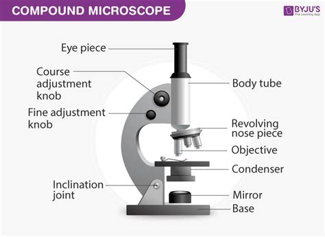 Compound Microscope Definition Diagram Parts Uses Working Principle